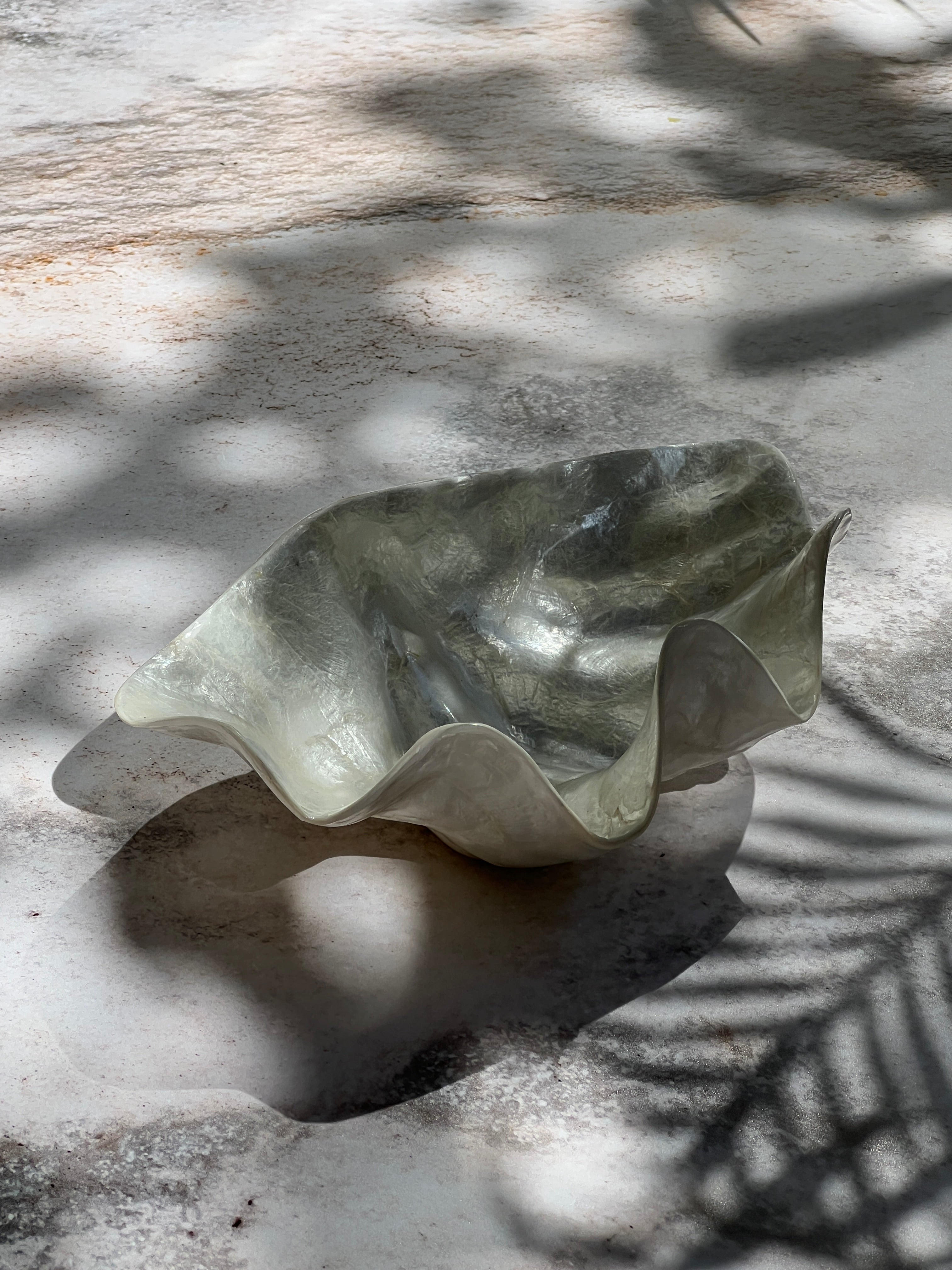 CLAM SHELL PEARL – Baby Lemonade Store